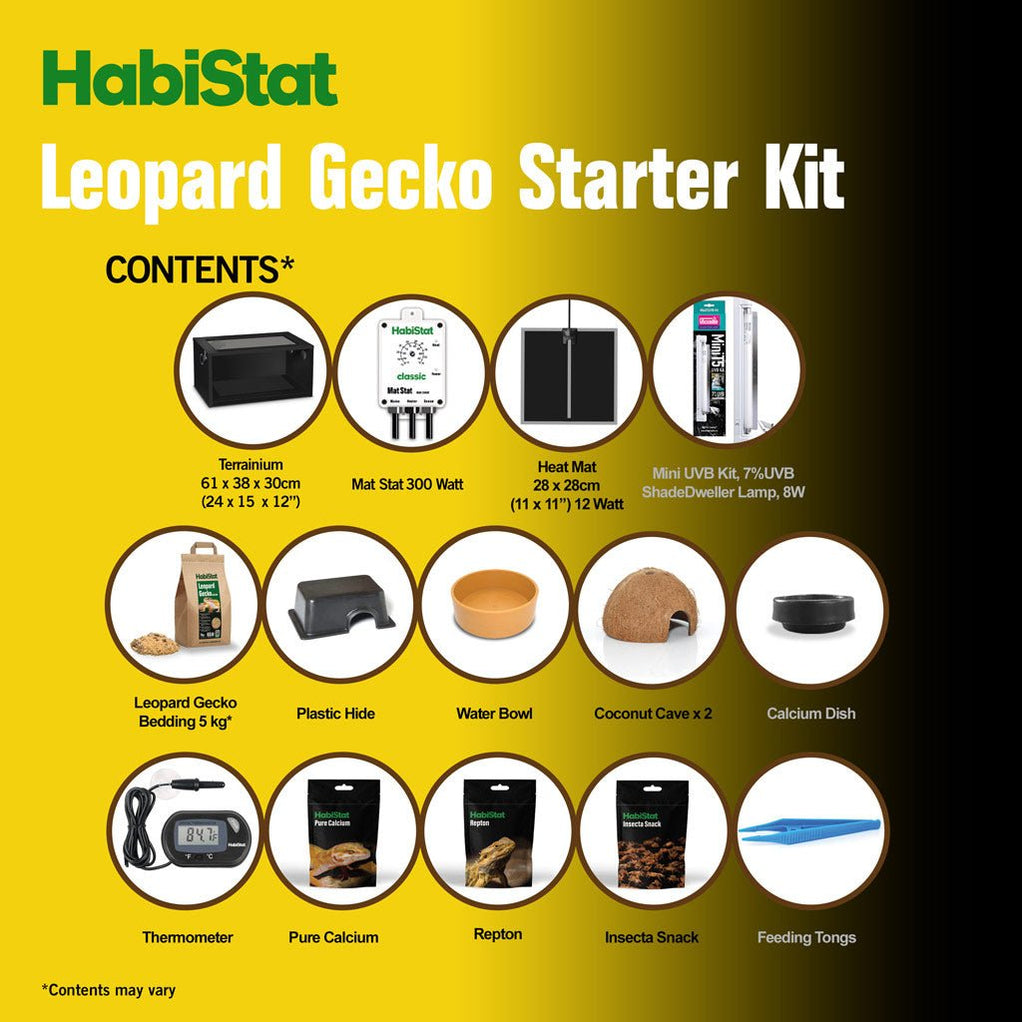HabiStat Leopard Gecko Starter Kit, Black — Reptiles By Post