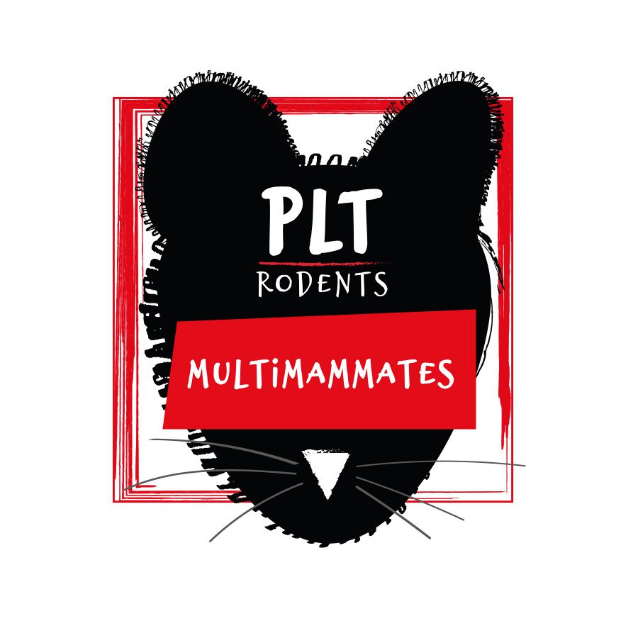 Frozen Multi Mammate Large 10 Pack — Reptiles By Post