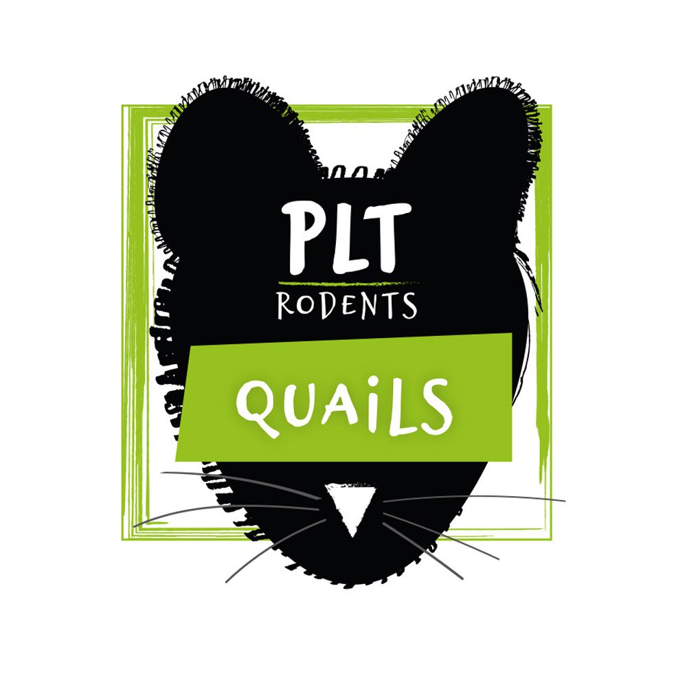 Frozen Quail Small 10 Pack — Reptiles By Post