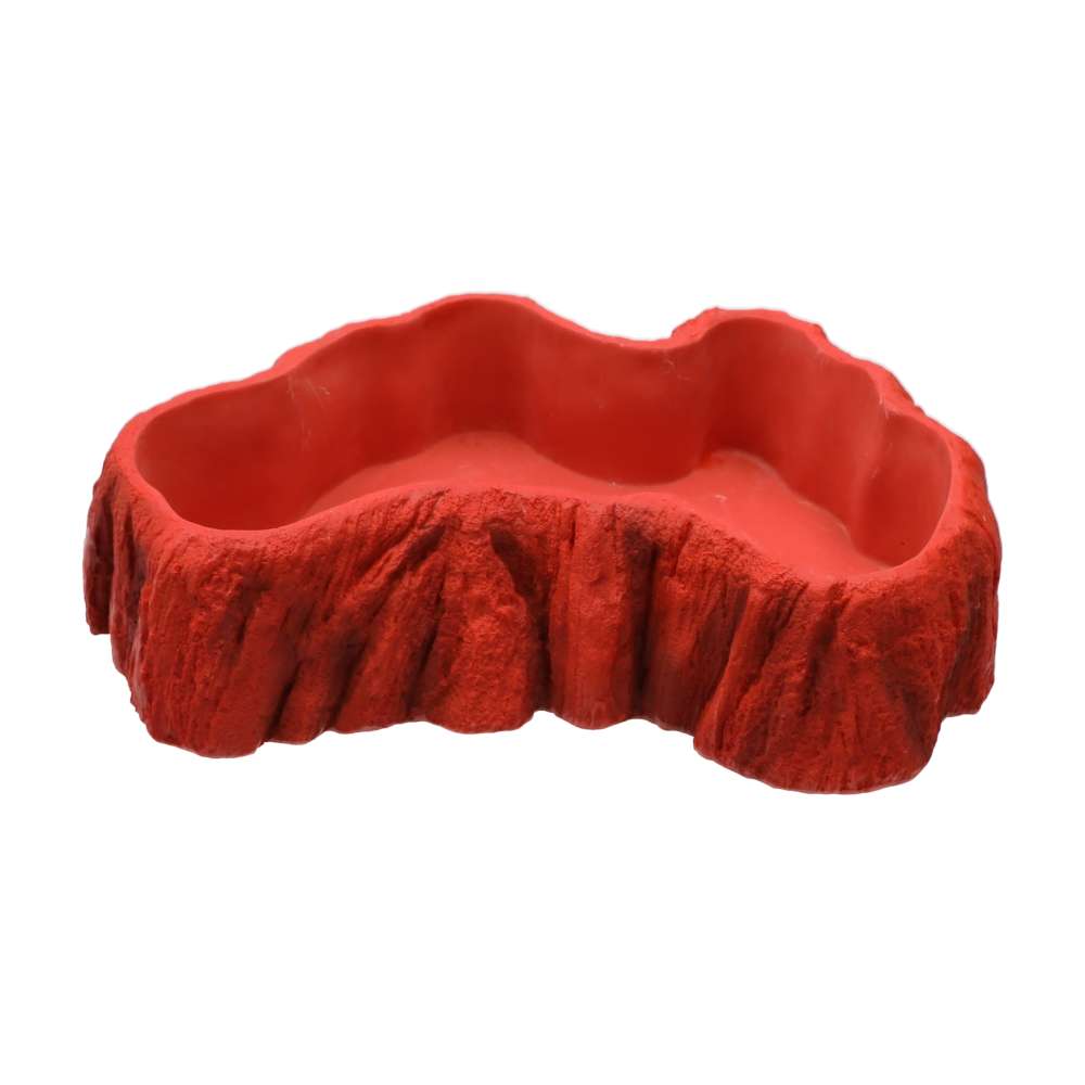 Quality Livefood & Reptile Equipment - Reptiles By Post
