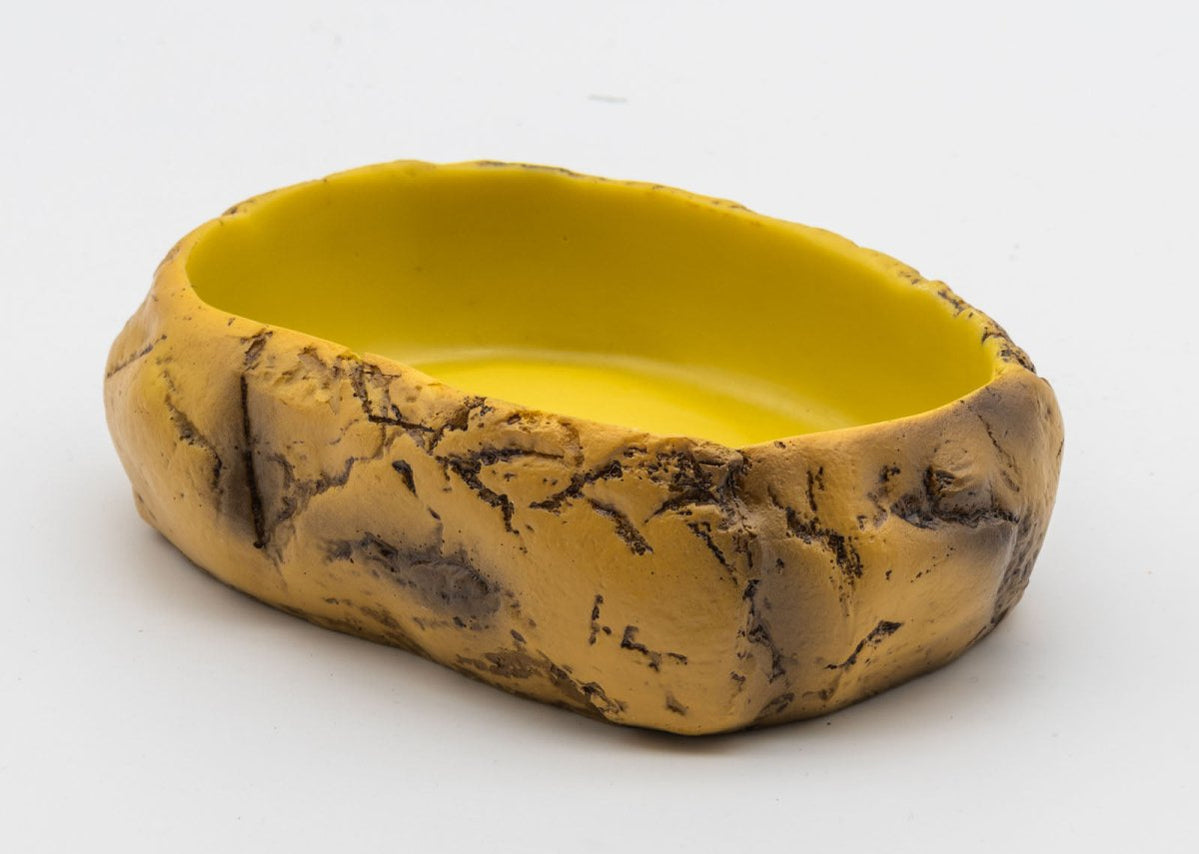 ProRep Rock Dish — Reptiles By Post