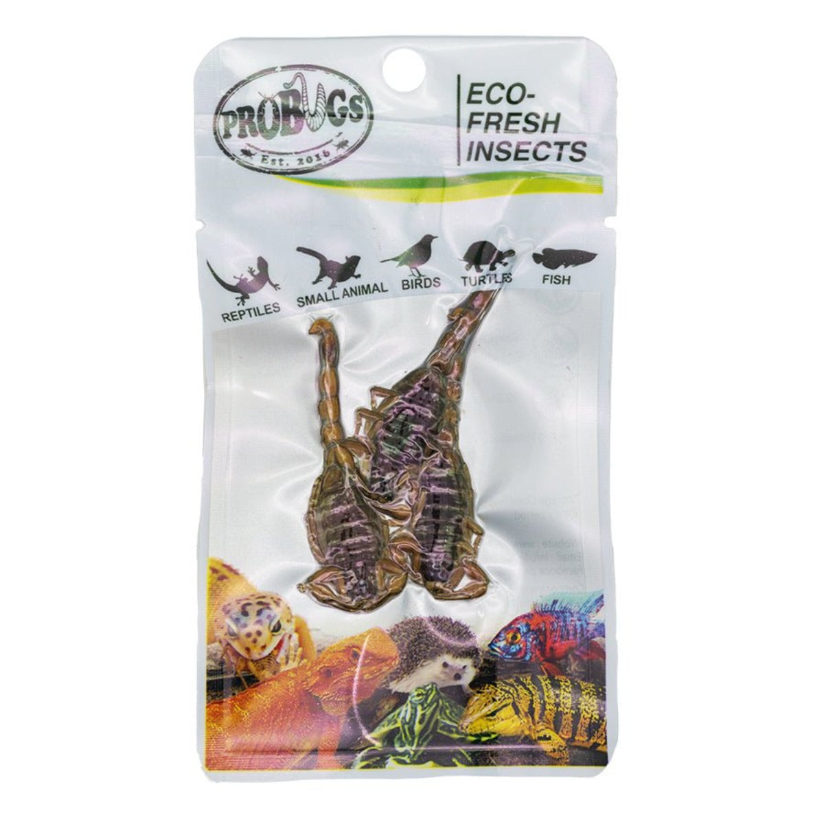ProBugs Eco Fresh Scorpion, 3pcs — Reptiles By Post