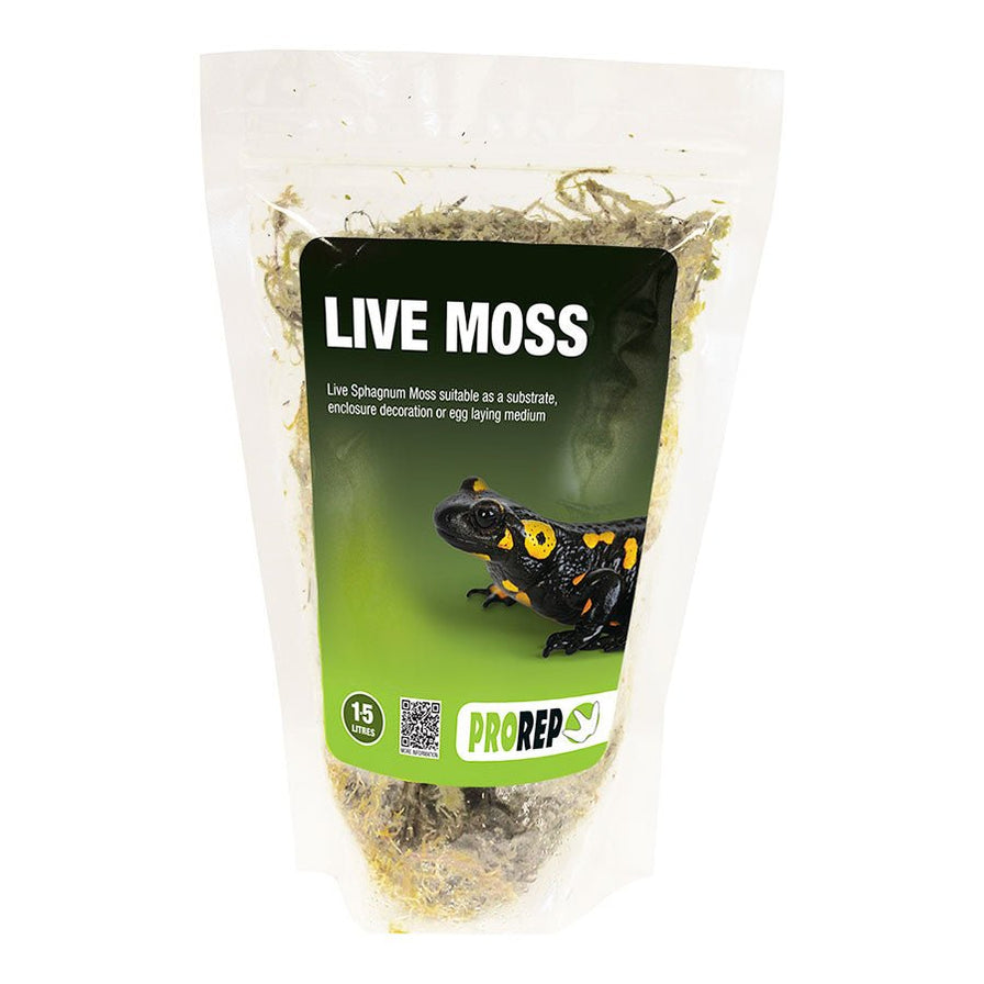 Quality Livefood & Reptile Equipment - Reptiles By Post